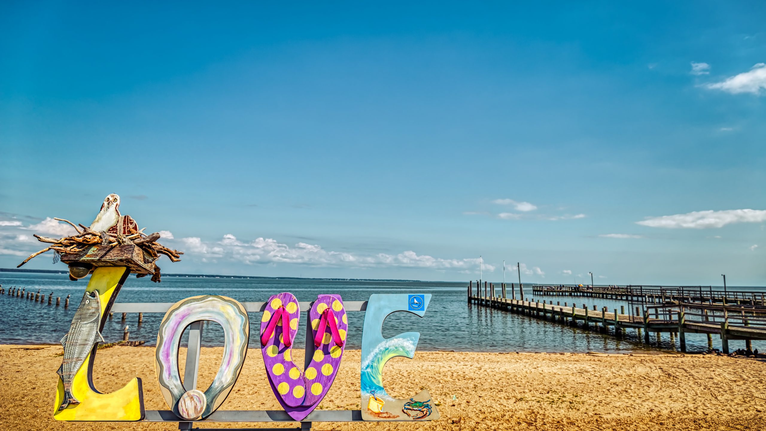 Virginia - Girl Camper