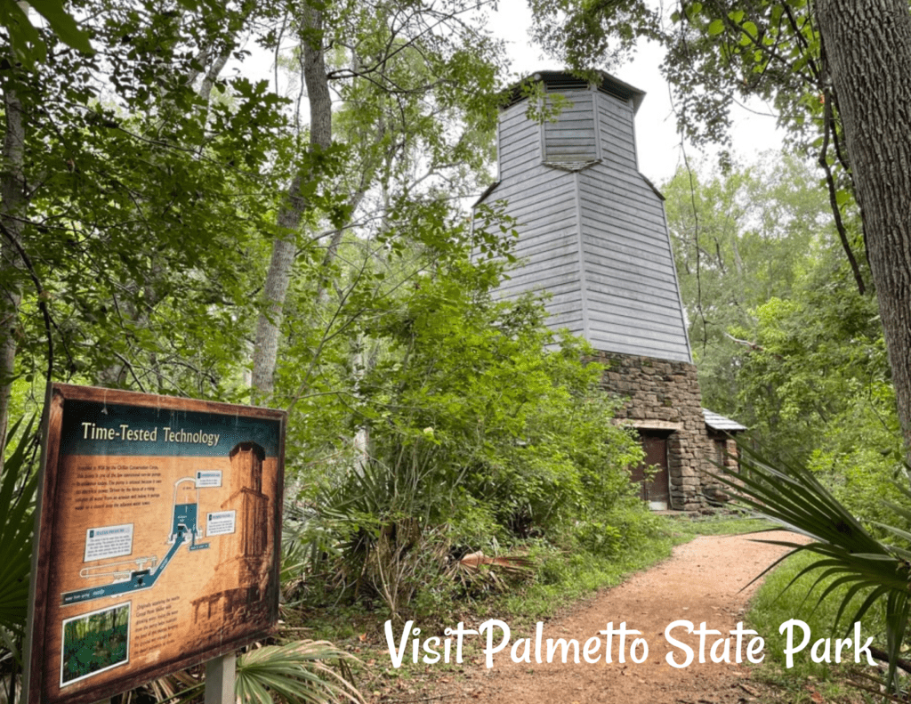 Ten Things to Do Visiting Palmetto State Park - Girl Camper