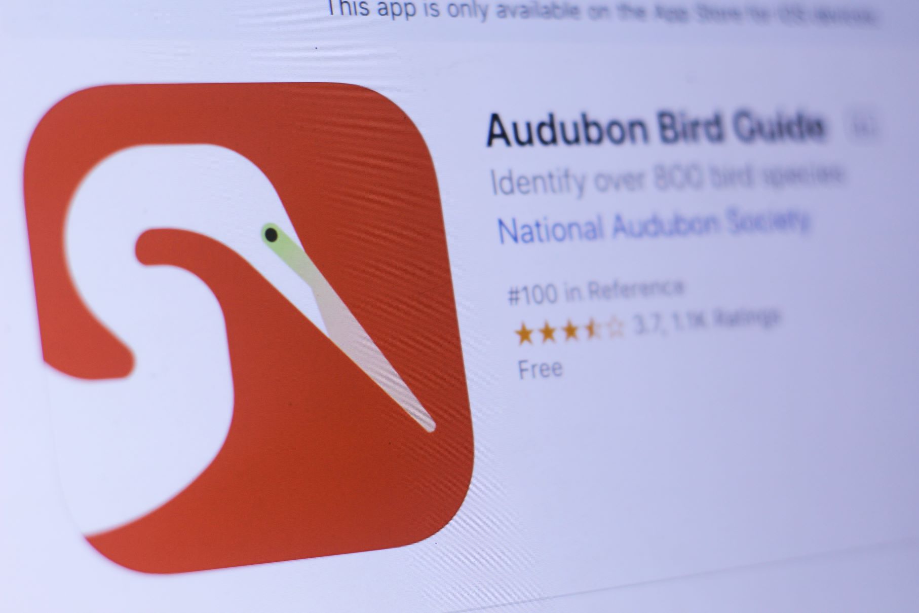 Audubon Birding App - Girl Camper