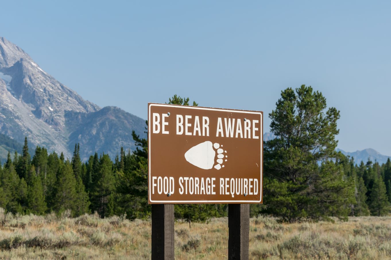 Be Bear Aware - Girl Camper