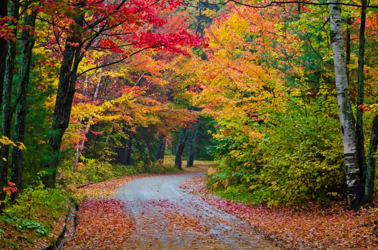 Best Places in the US to See Fall Colors - Girl Camper